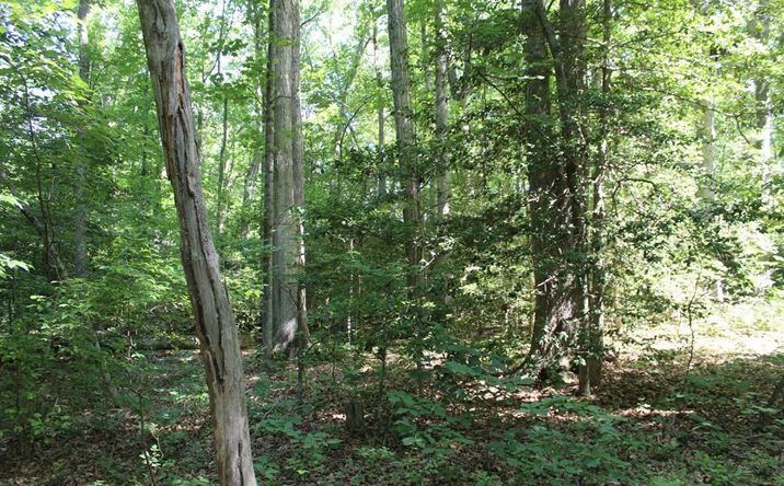 Blackwood Drive, Goldvein, VA 22720 | Crexi.com