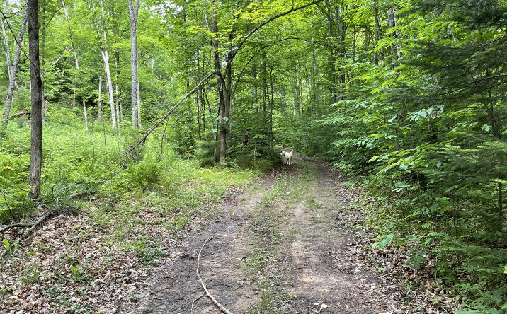 Terry Huffman - RE/MAX 1st Realty | Crexi