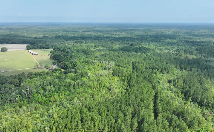 0 Woodrow Lane Nahunta, Nahunta, GA 31553 | Crexi.com