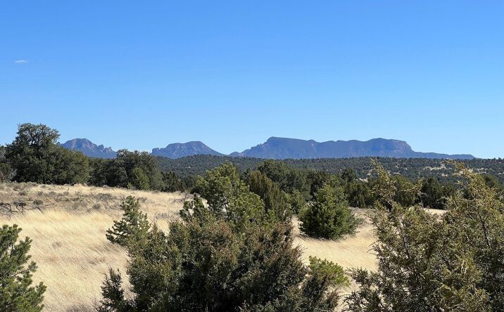 0000 2 Criswell Road (Forest Road 6a) Road, Pie Town, NM 87827 | Crexi.com