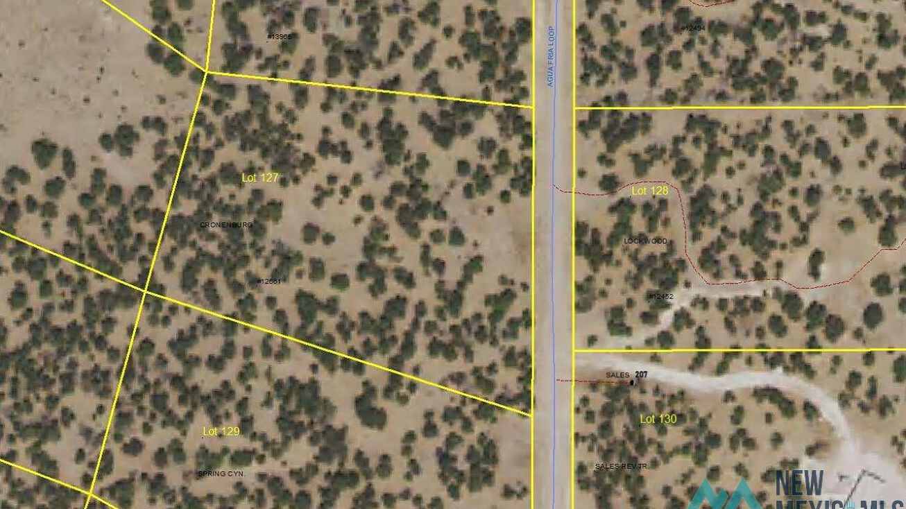 LOT 127 Agua Fria Loop, Quemado, NM 87829 | Crexi.com