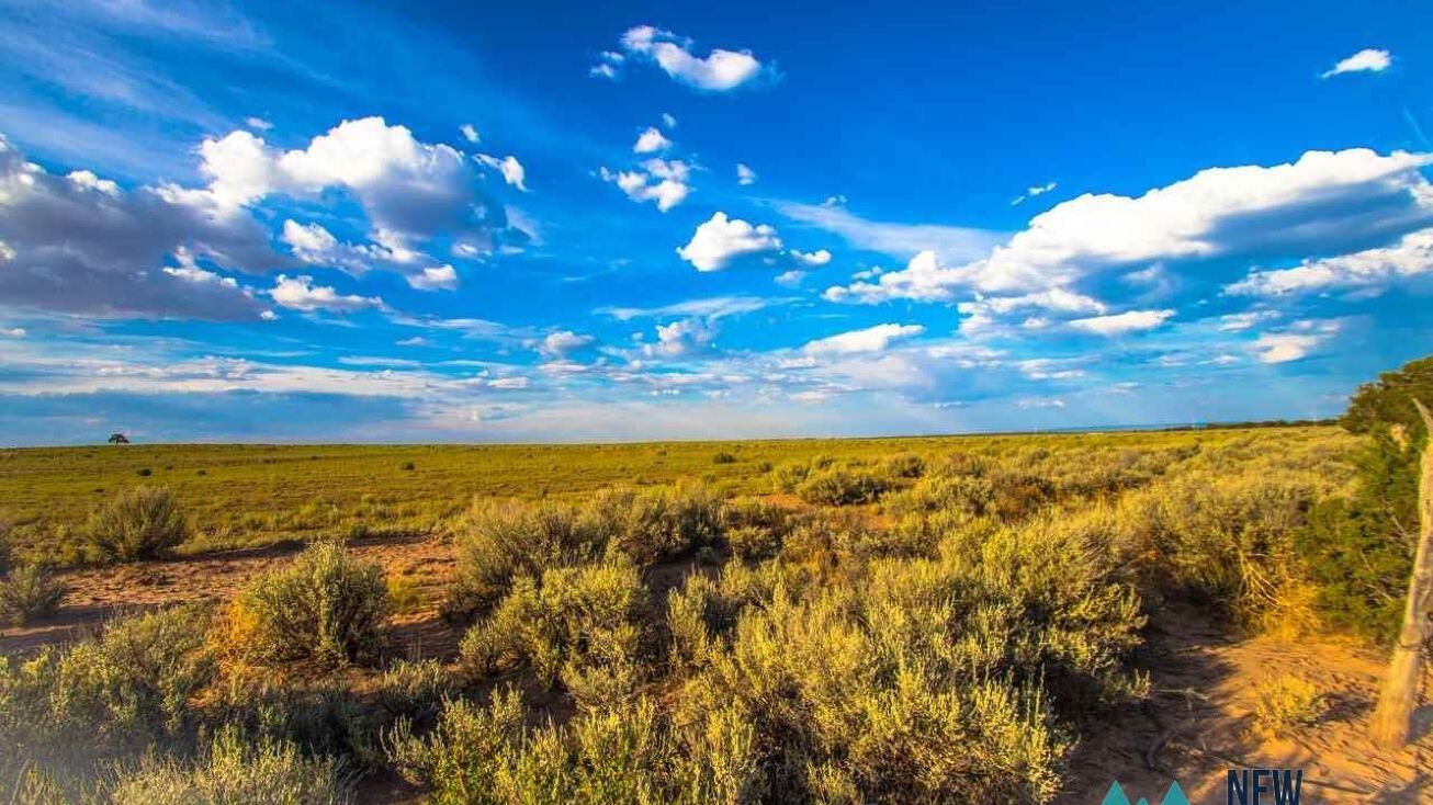 Lot 20 Jones Ranch Road, Vanderwagen, NM 87301 | Crexi.com