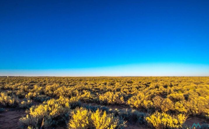 Lot 17 Jones Ranch Road, Vanderwagen, NM 87326 | Crexi.com