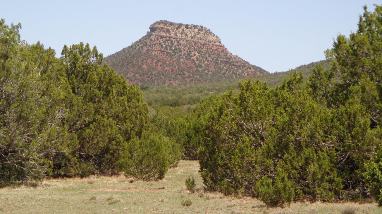 Tr 2B Camino Del Sol Road, Bernal, NM 87569 | Crexi.com