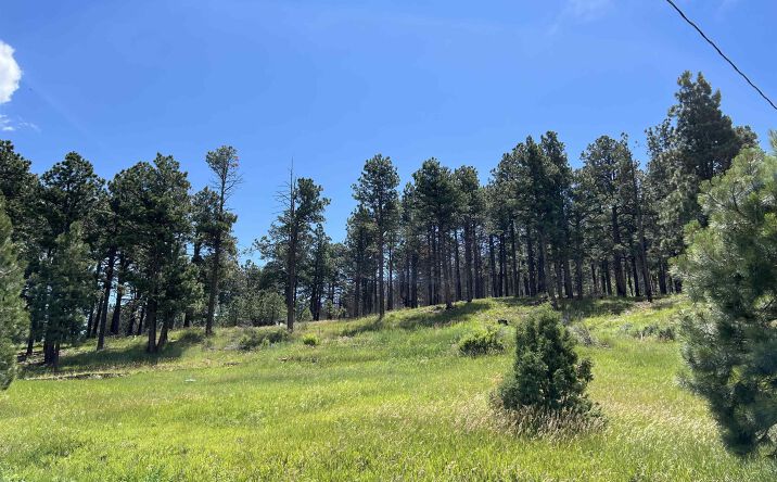 77 Pendaries Village Drive, Rociada, NM 87742 | Crexi.com