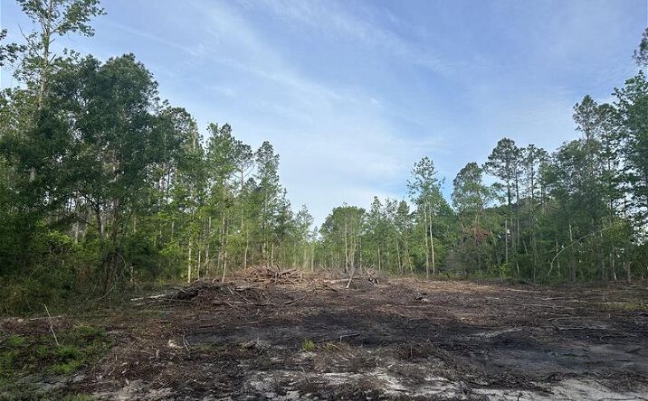 Quarterman Rd, Hahira, GA 31632 | Crexi.com