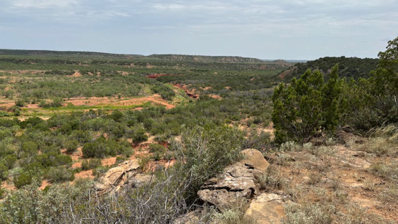 County Rd 1116, Snyder, TX 79549 | Crexi.com