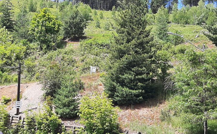 Upper 3rd St, Kellogg, ID 83837 | Crexi.com