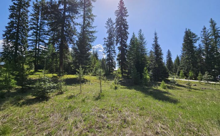 Lot 11 Old Mill Way, Trout Creek, MT 59874 | Crexi.com