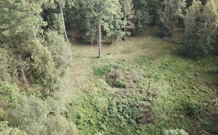 MS-28, Soso, MS 39443 | Crexi.com