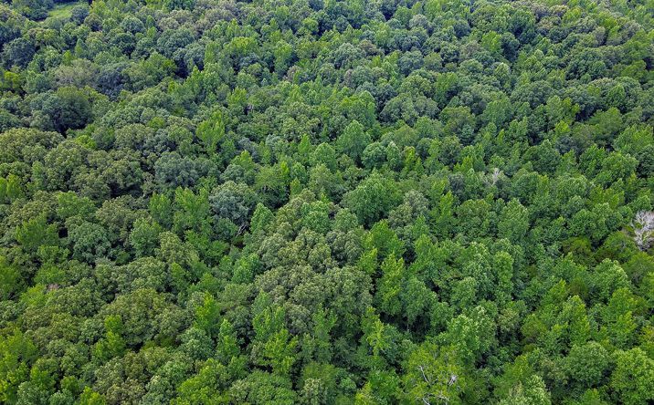 Fewell Ln, Lavinia, TN 38348 | Crexi.com