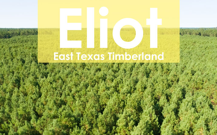 Easement Road off FM 355, Groveton, USA 75845 | Crexi.com