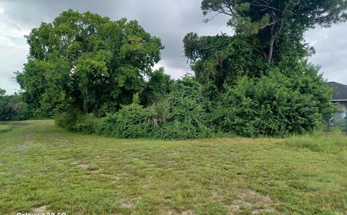 2631 Ivory, Titusville, FL 32780 | Crexi.com