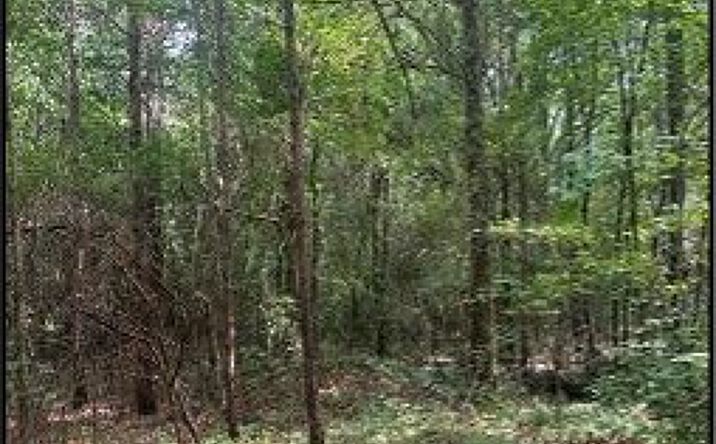 19 Acres, Polkville, MS 39117 | Crexi.com