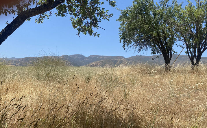 8020 State Highway 16, Brooks, CA 95606 | Crexi.com