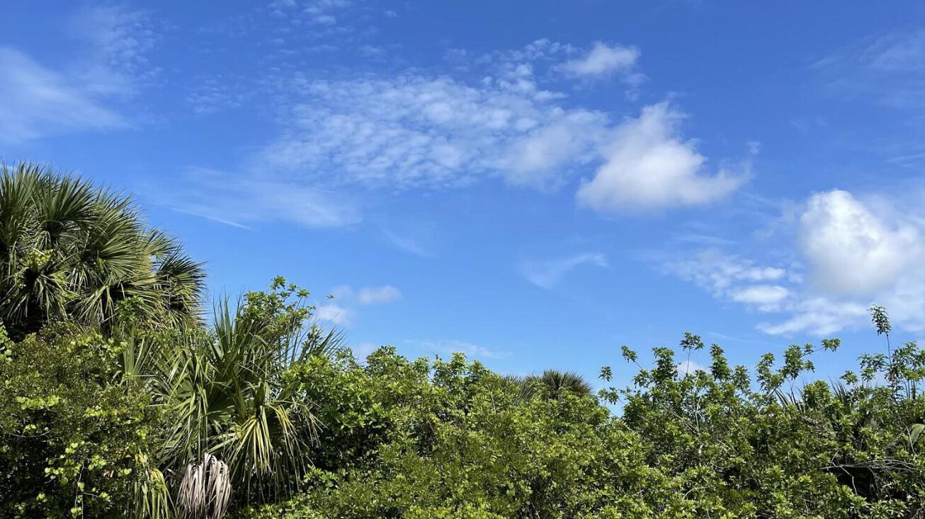 796 Sunshine Street, Palm Bay, FL 32908 | Crexi.com