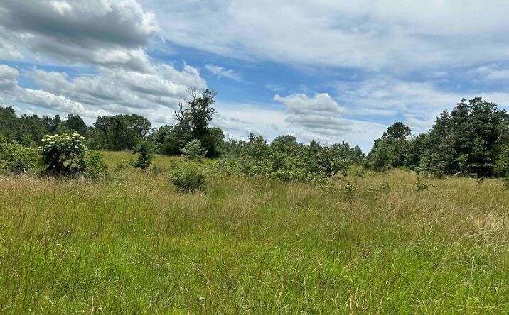 2407 Hill String Rd, Viola, AR 72583 | Crexi.com