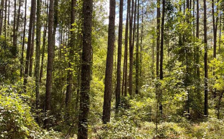 Metter, GA | Crexi.com