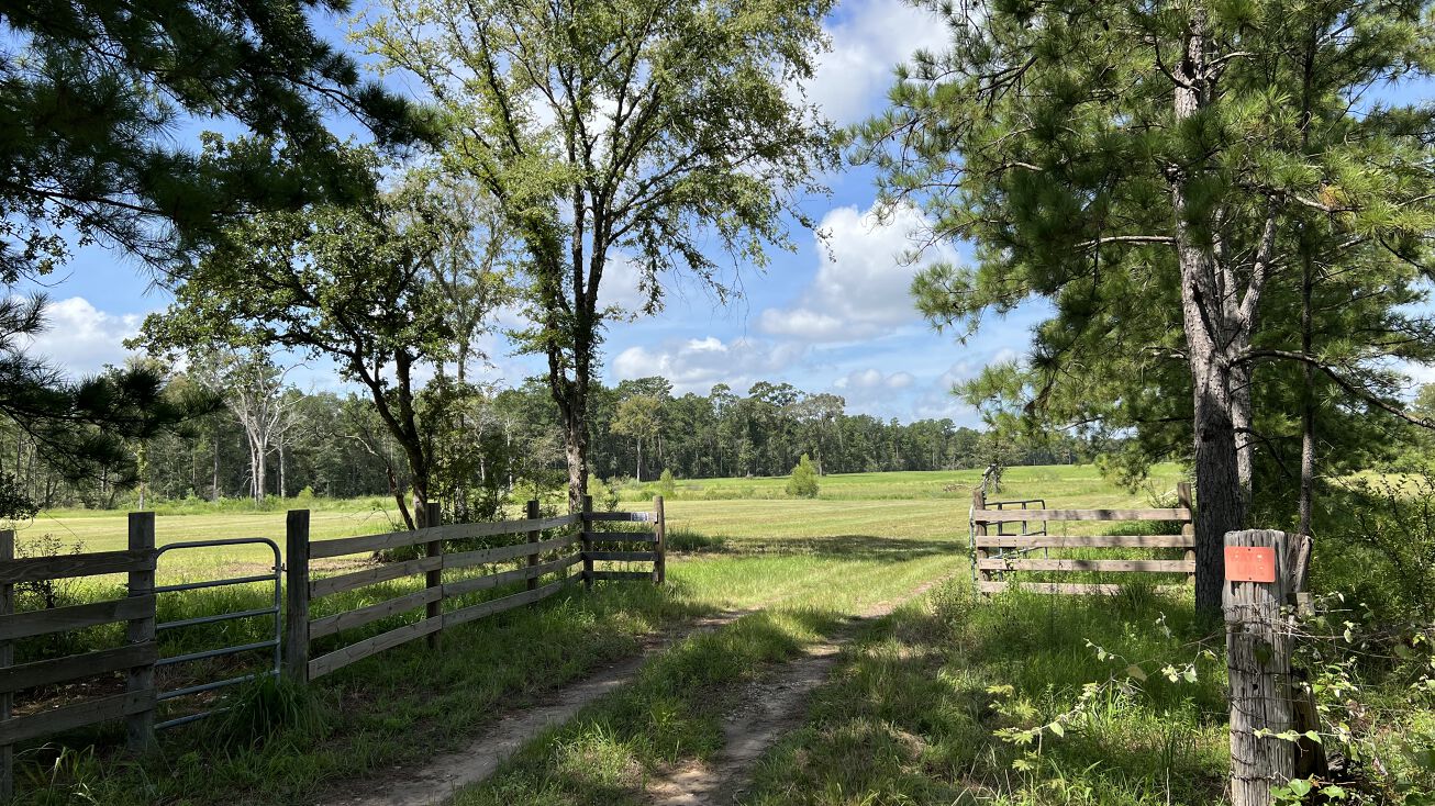 18288 FM 1774, Plantersville, TX 77363 | Crexi.com