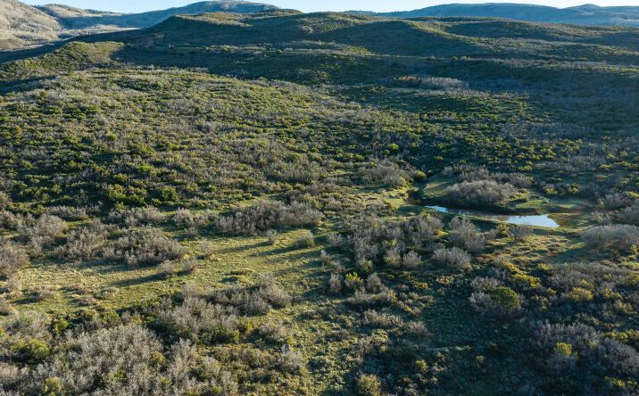 TBD Hwy 65, Cedaredge, USA 81413 | Crexi.com