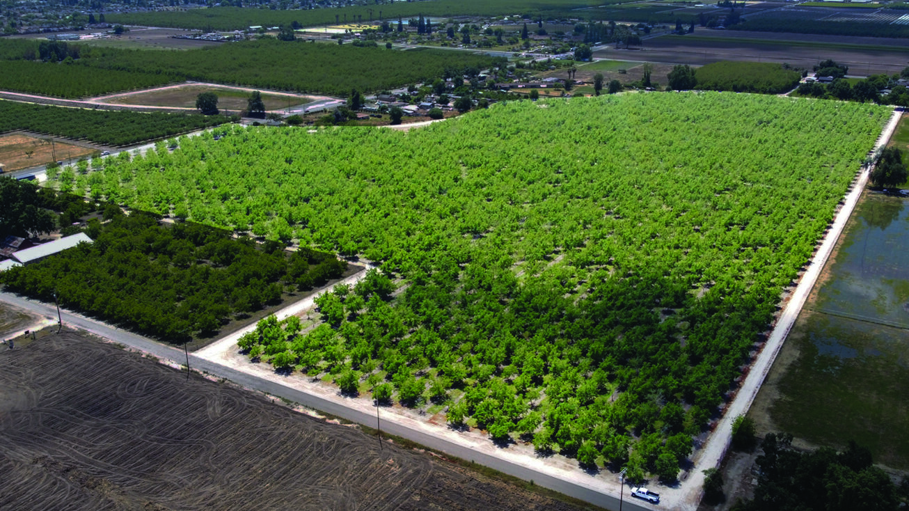 Avenue 296, Visalia, CA 93292 | Crexi.com