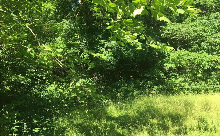 2 CR 123, Glover, MO 63620 | Crexi.com