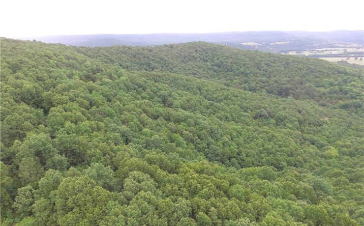 Cr 733, Green Forest, AR 72638 | Crexi.com