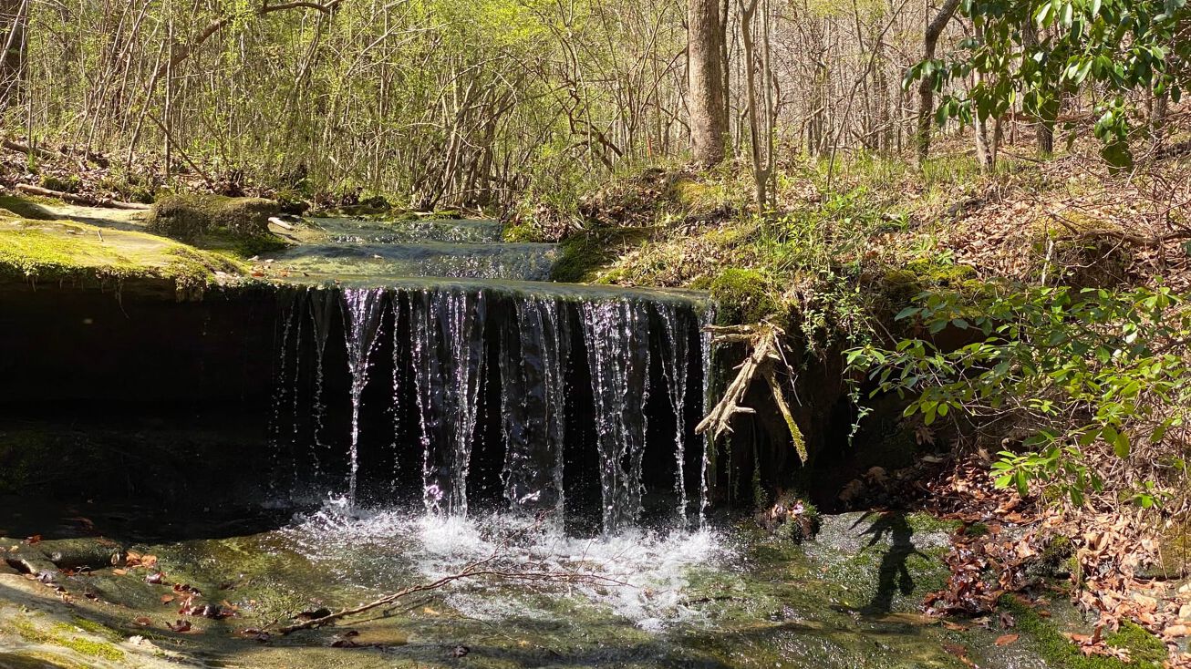 000 County Road 3449, Haleyville, USA 35565 | Crexi.com