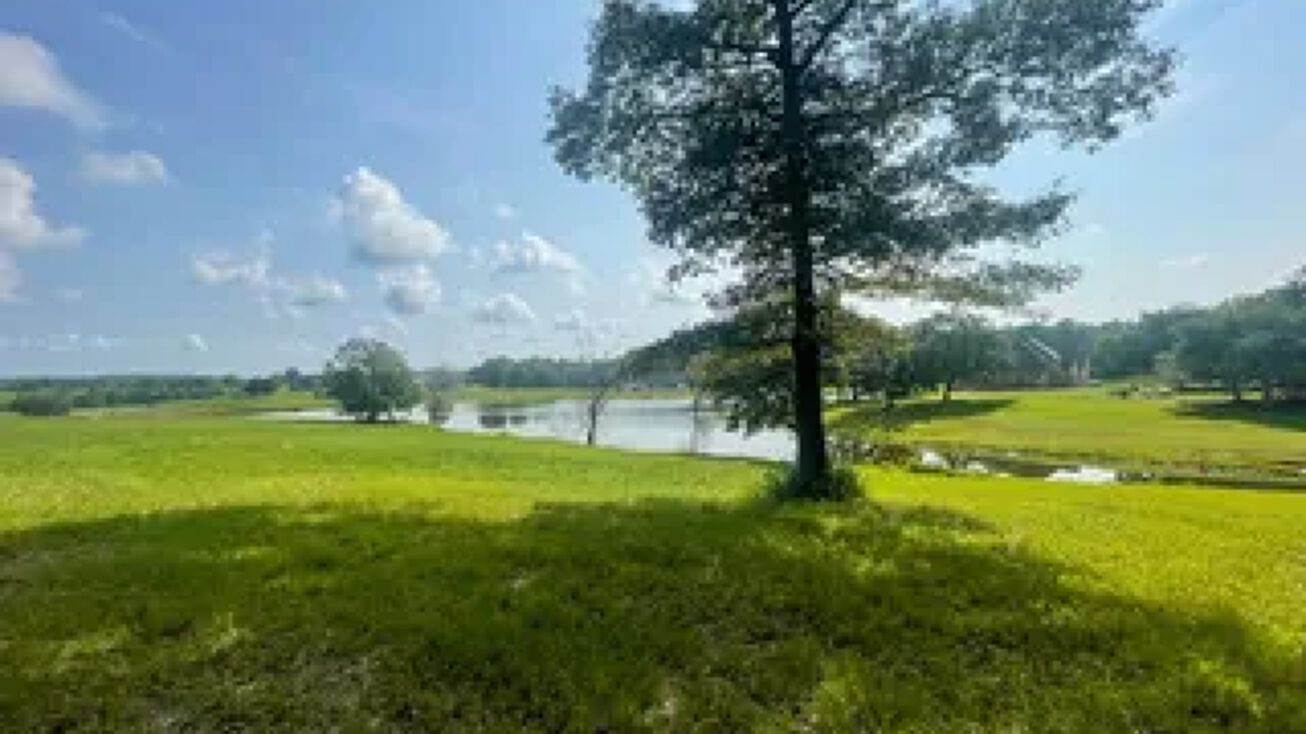 Lot 9 Conner Stringer Drive, Lucedale, MS 39452 | Crexi.com