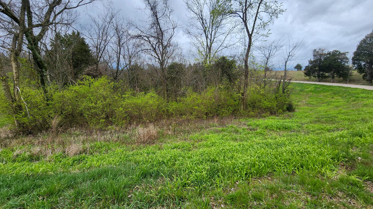 19989 Meades Ridge Road, Patriot, USA 47038 | Crexi.com