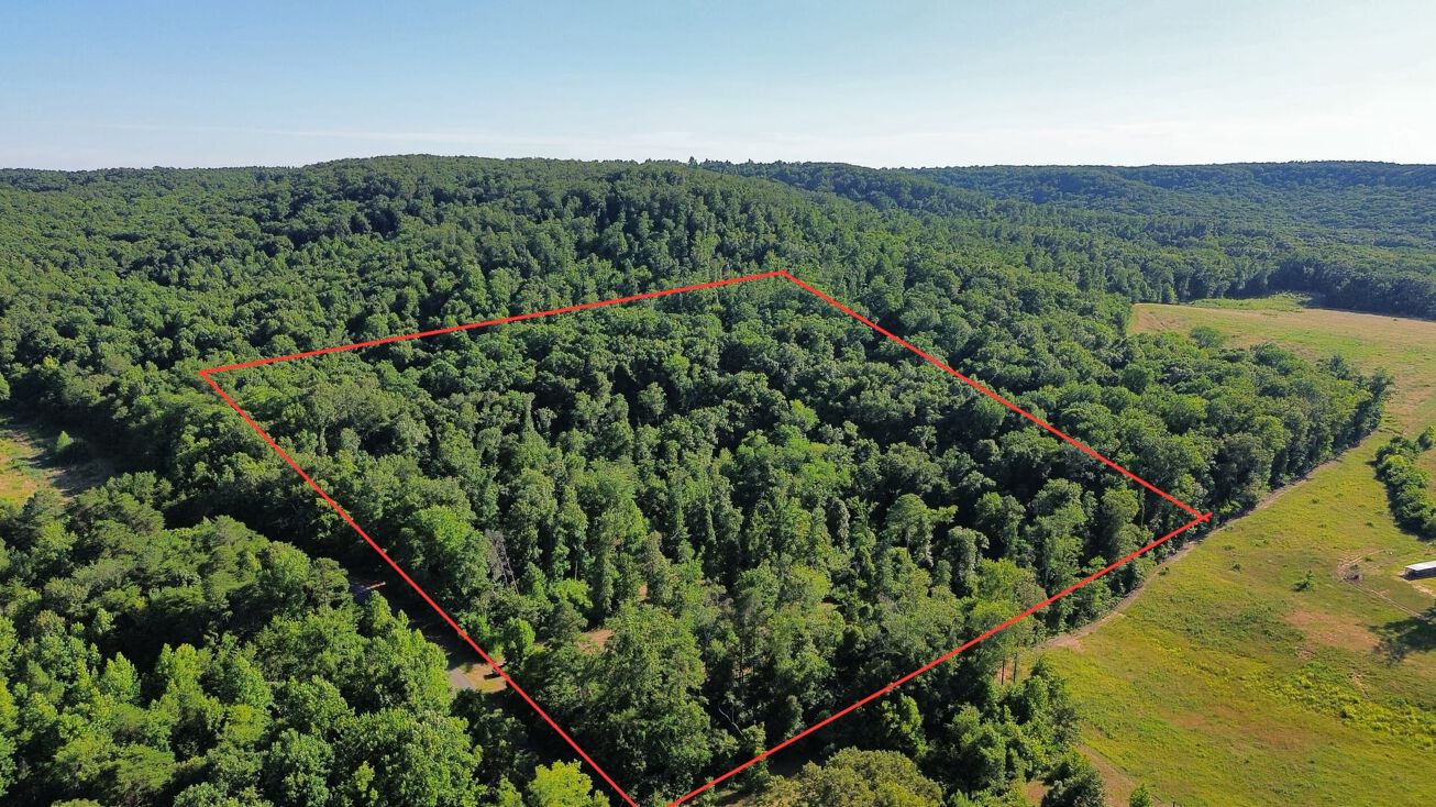 000 Co Rd 22, Mount Hope, USA 35651 | Crexi.com