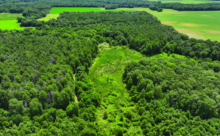 Caney Bayou Timber, DeWitt, AR 72042 | Crexi.com