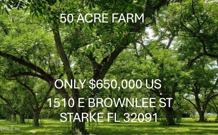1510 E BROWNLEE Street, Starke, FL 32091 | Crexi.com