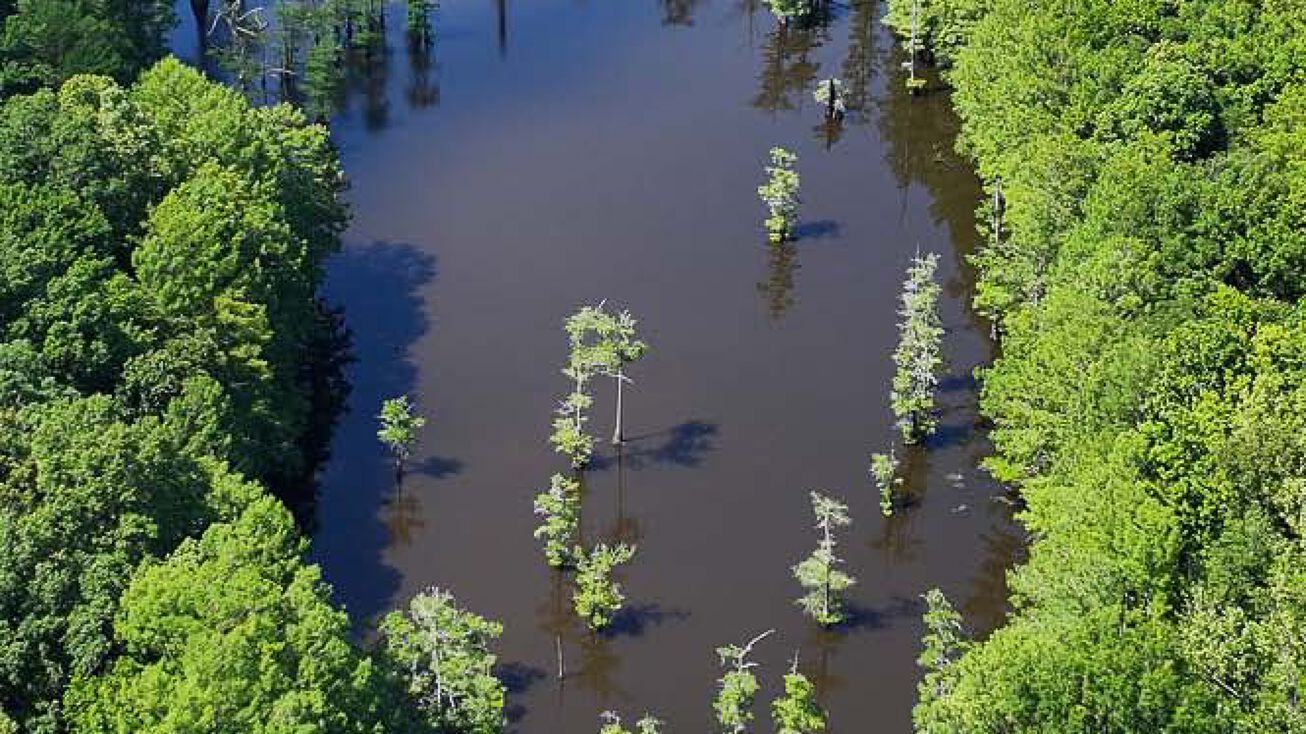 Crockett’s Lake Hunting Club Partnership, Stuttgart, AR 72160 | Crexi.com
