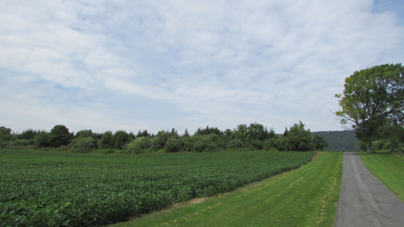 Upper Brush Valley Rd, Centre Hall, PA 16828 | Crexi.com