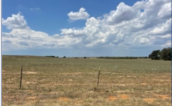 06 COUNTY RD 232 Floresville TX 78114 | Crexi.com