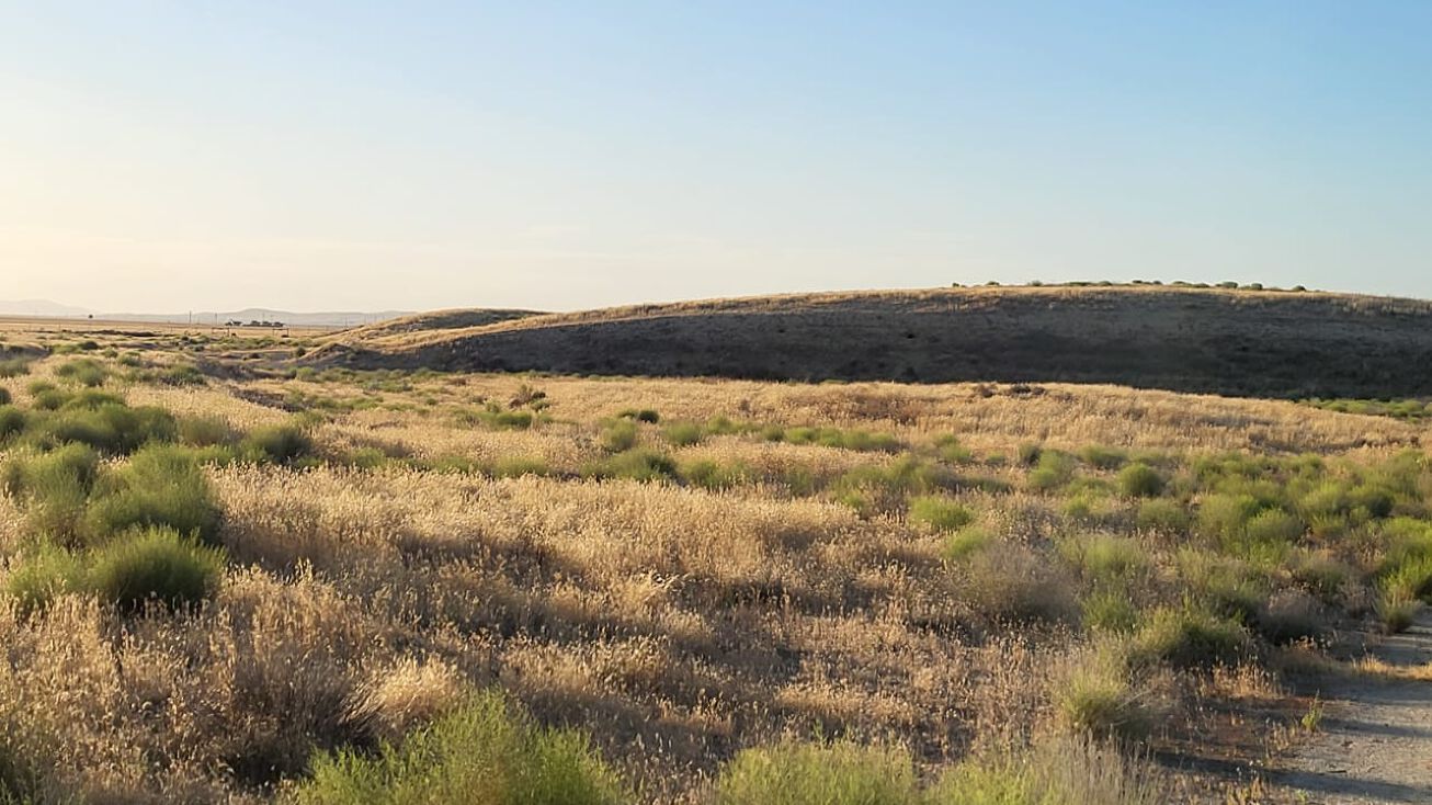 Avenal CA, Avenal, CA 93204 | Crexi.com