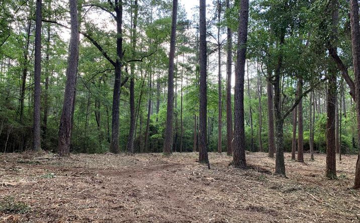 Chatawa Rd, Magnolia, MS 39652 | Crexi.com