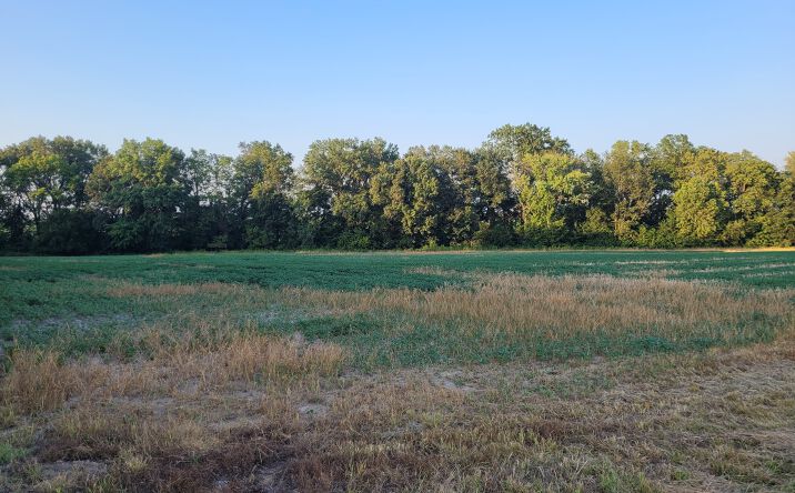 State Hwy DD, Bellflower, MO 63333 | Crexi.com