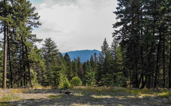 202 Grizzly Gulch Road, Fortine, MT 59918 | Crexi.com