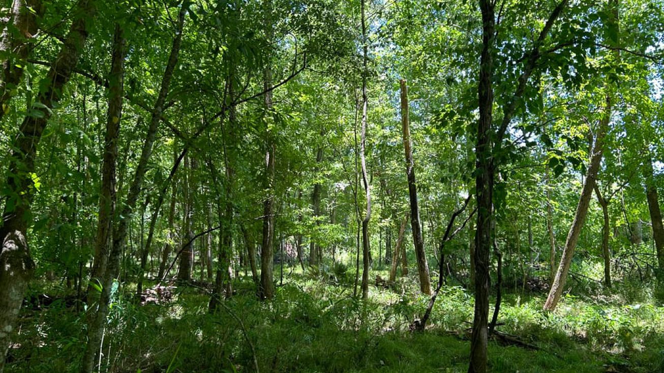 McKenzie road, Dooling, GA 31063 | Crexi.com