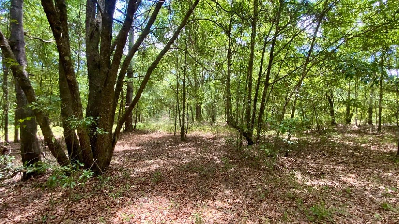 NW Oyster Trl, Greenville, FL 32331 | Crexi.com