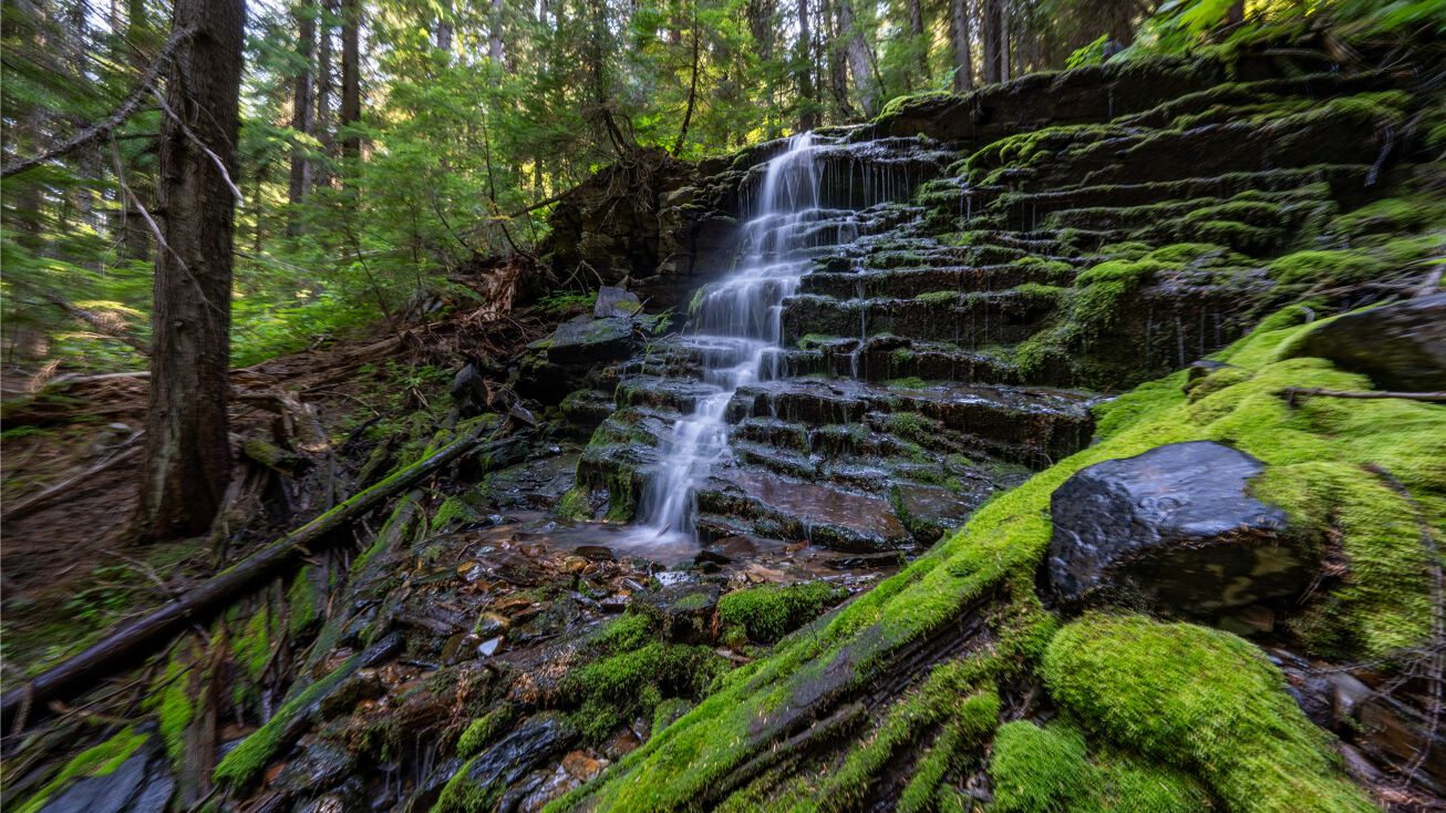 TBD NF 2300 Road, Libby, MT 59923 | Crexi.com