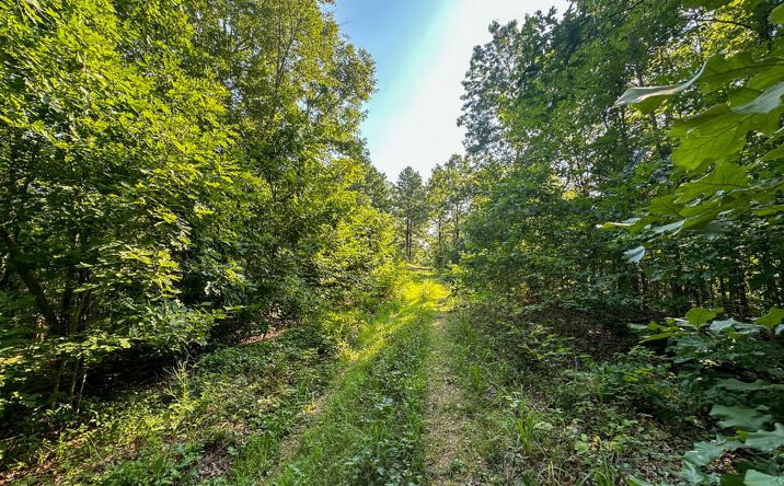 Bulger Park Circle Doniphan, Doniphan, MO 63935 | Crexi.com