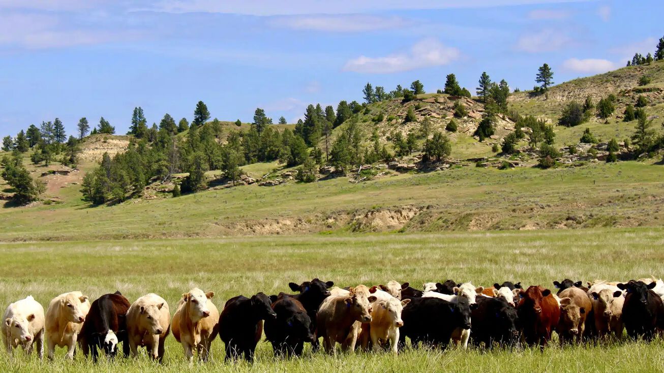 5621 Quietus Rd, Decker, MT 59025 | Crexi.com