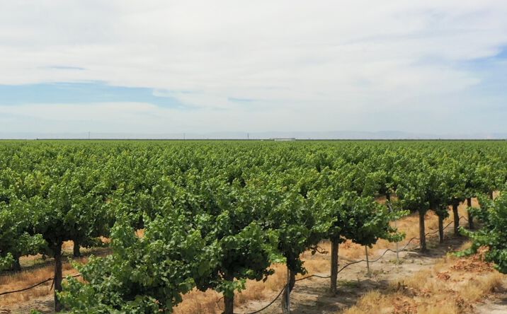 20650 Rd 21, Madera, CA 93639 | Crexi.com