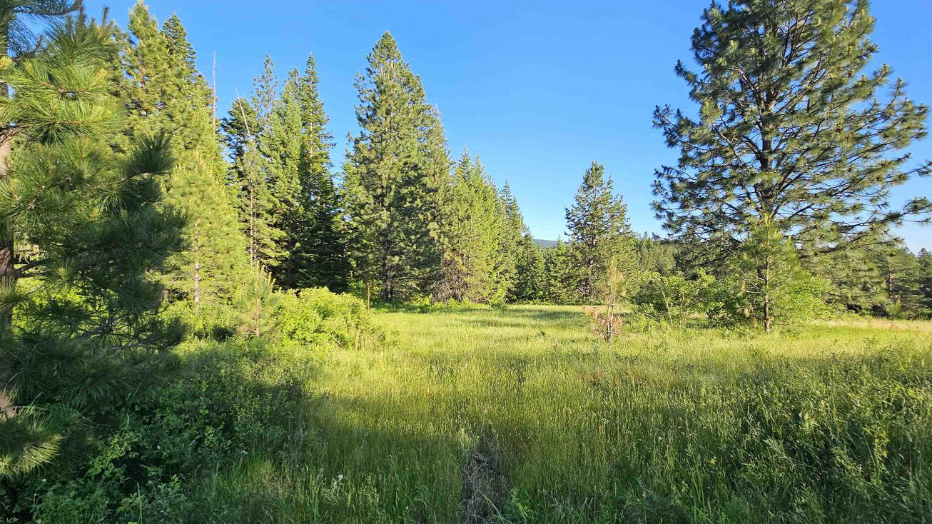 TBD Red Willow Rd, Lot 79, Kendrick, ID 83537 | Crexi.com