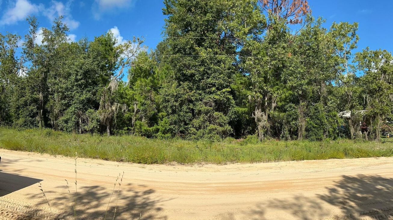 0 April Ave, Interlachen, FL 32148 | Crexi.com