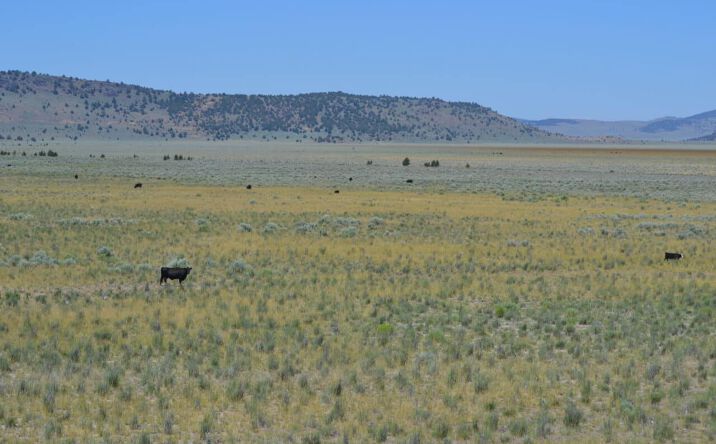 S Grasshopper Rd, Termo, CA 96132 | Crexi.com