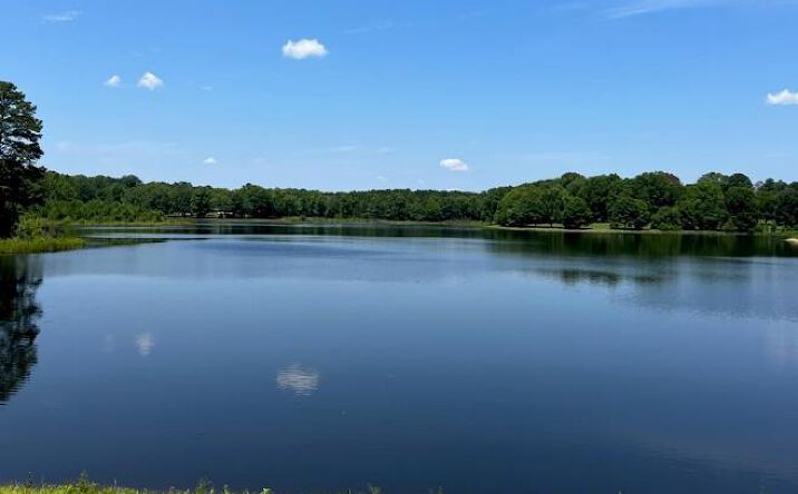 Mantee Rd, Mantee, MS 39751 | Crexi.com